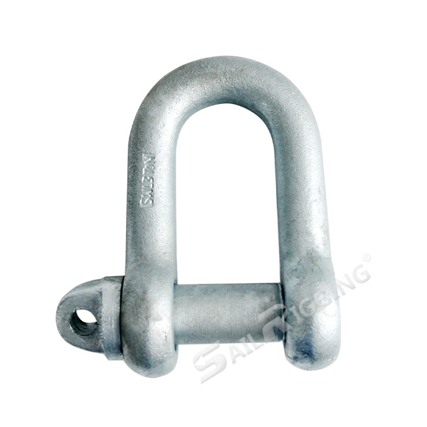 BS3032 DEE SHACKLE-yunfan